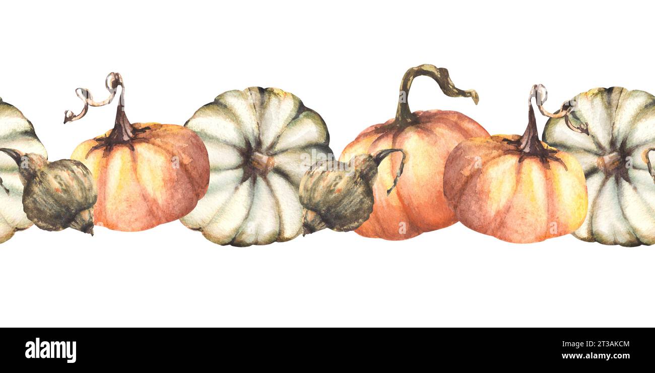 Vegetable seamless pumpkins colorful border, pattern. Isolated white ...