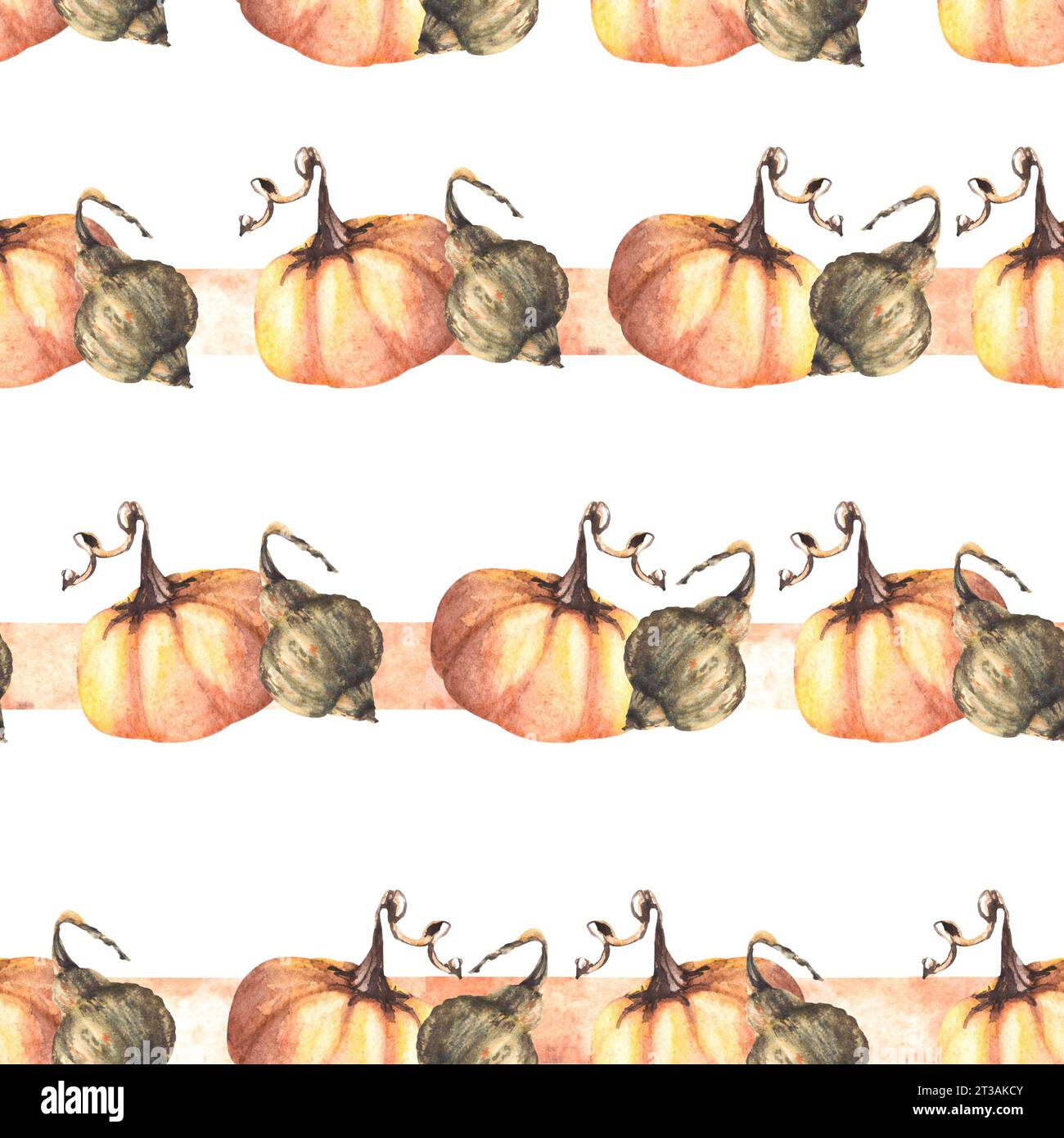 Vegetable seamless pumpkins striped pattern. Isolated white background ...