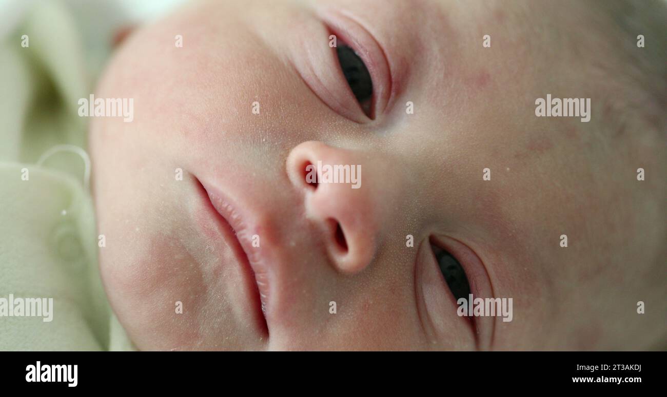 Portrait of newborn baby face in first day of life Stock Photo - Alamy