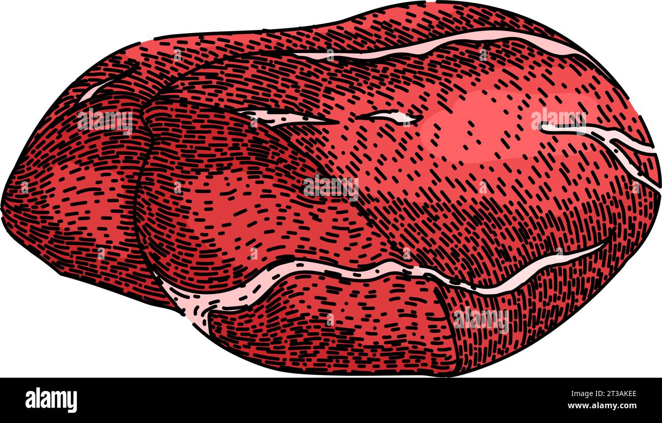 Meat variety top view Stock Vector Images - Alamy