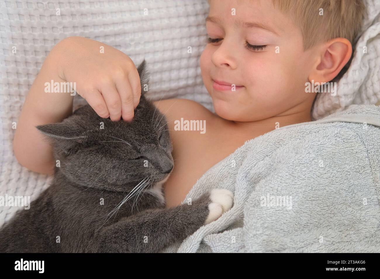 Portrait of Funny Little Boy Cuddling Gray Kitten Lying in a Bed. Pet ...