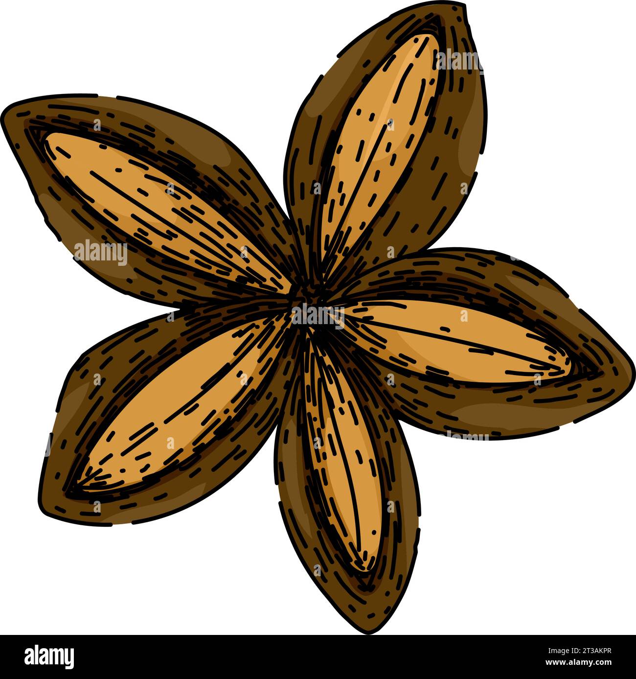 Sacha inchi plant Cut Out Stock Images & Pictures - Alamy