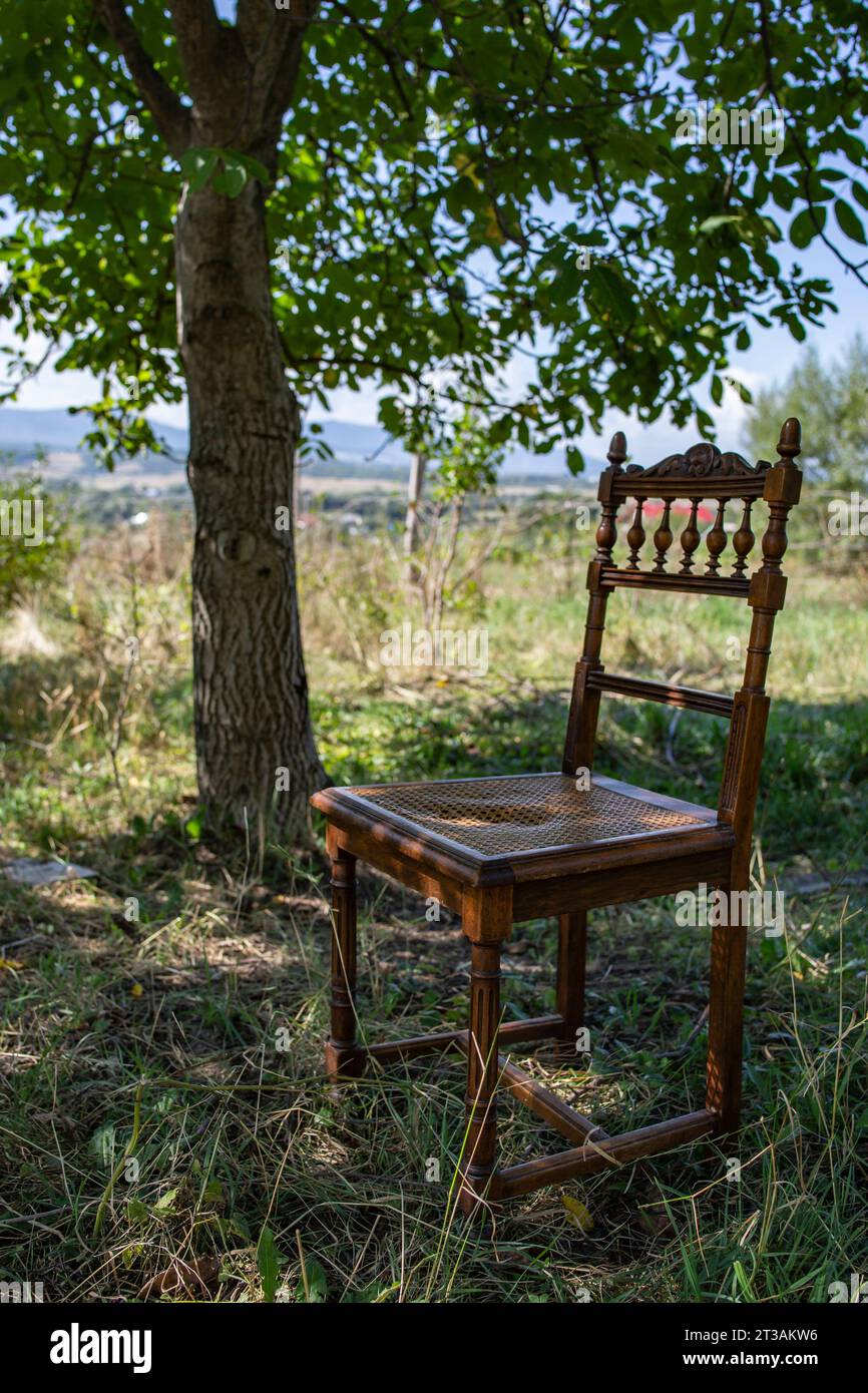 Antique Belgian Chair under a tree, with foliage garden background ...