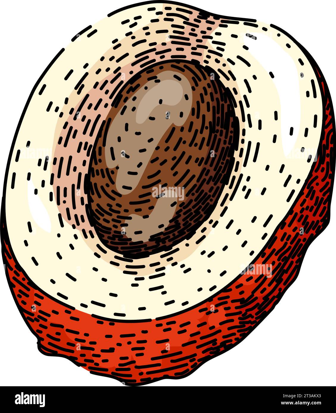 Lychee hand drawn sketch hi-res stock photography and images - Alamy