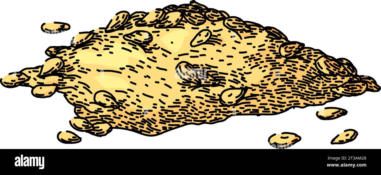 agriculture sesame seed sketch hand drawn vector Stock Vector Image ...