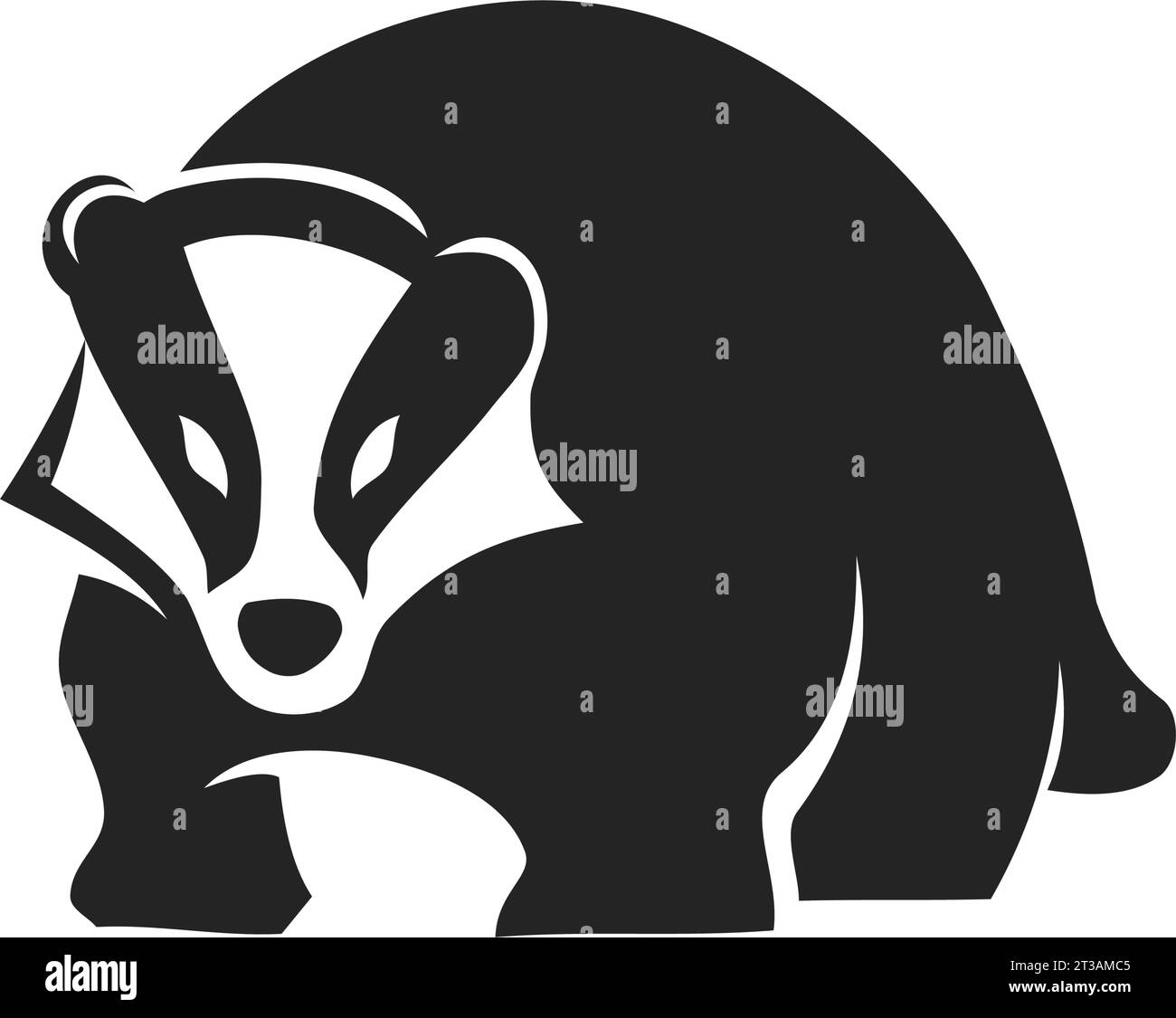 Angry badger Black and White Stock Photos & Images - Alamy