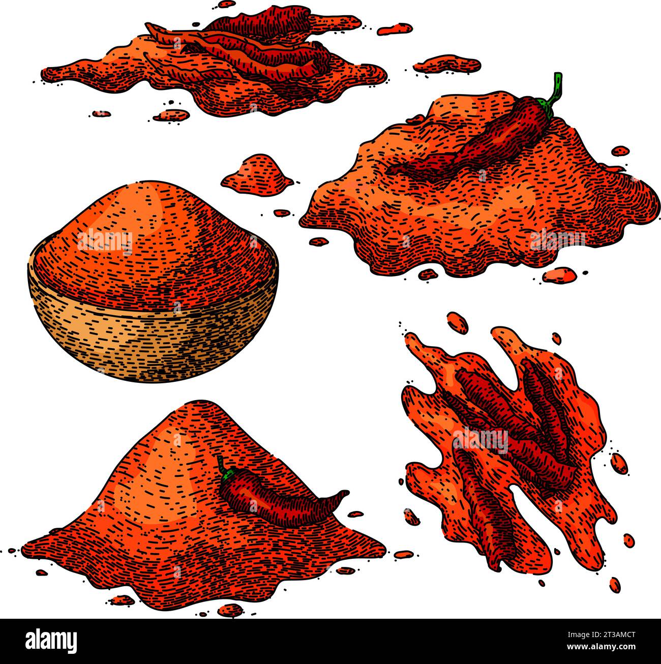 paprika set sketch hand drawn vector Stock Vector Image & Art - Alamy