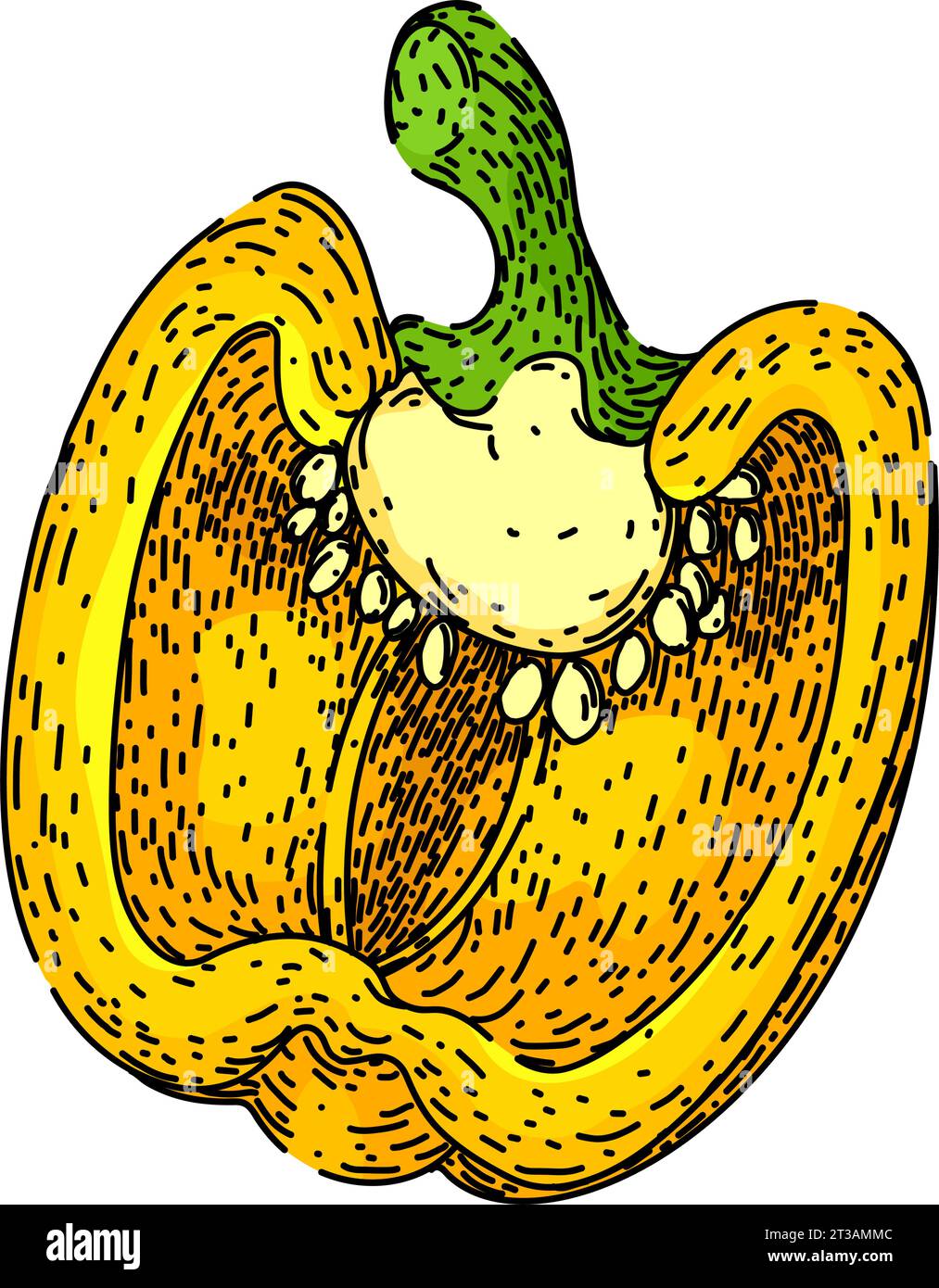 organic pepper spice sketch hand drawn vector Stock Vector Image & Art ...