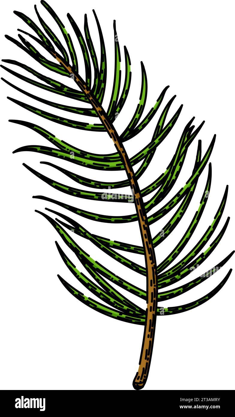 dry pine nut sketch hand drawn vector Stock Vector Image & Art - Alamy