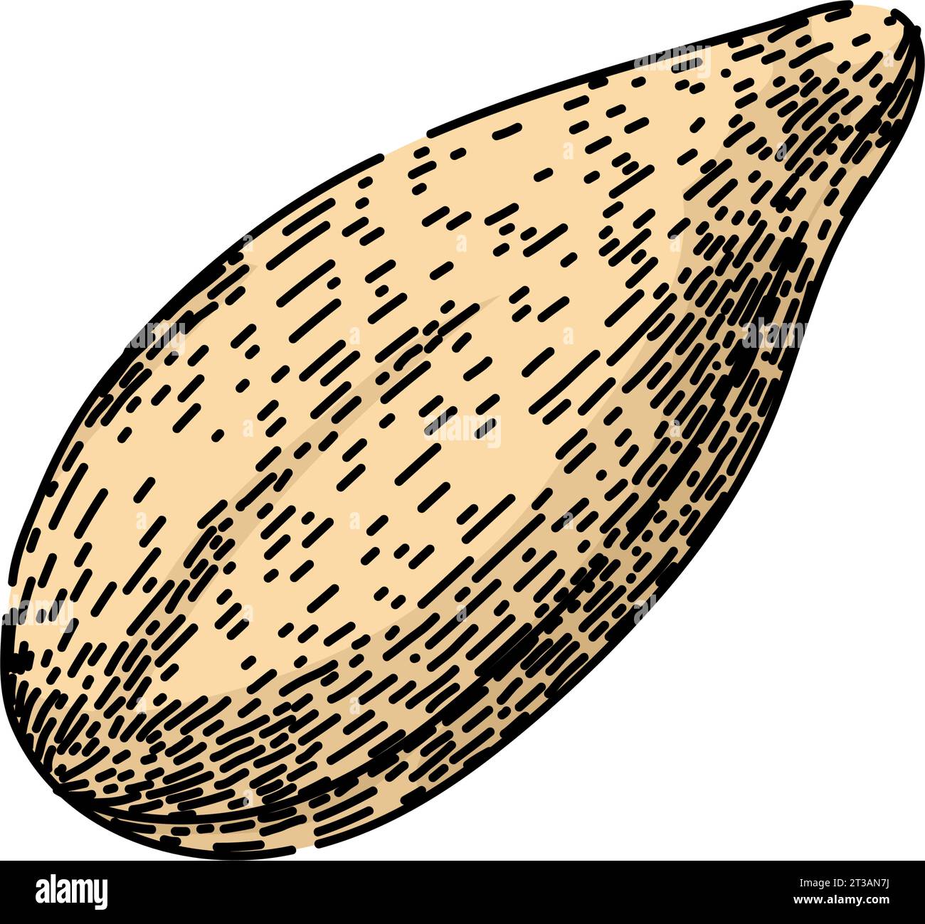 Cereal crop detail Stock Vector Images - Alamy