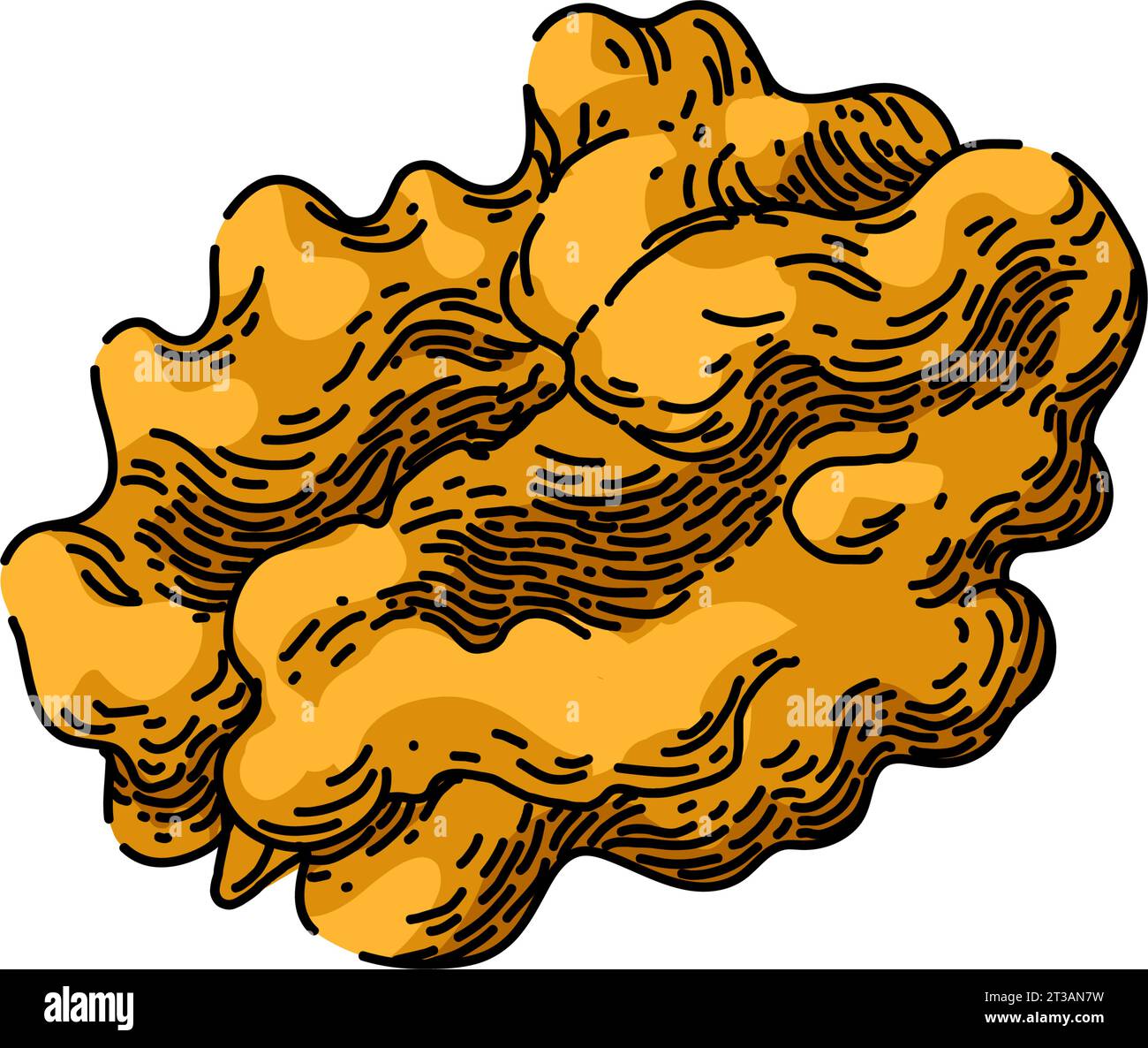 nut walnut sketch hand drawn vector Stock Vector Image & Art - Alamy