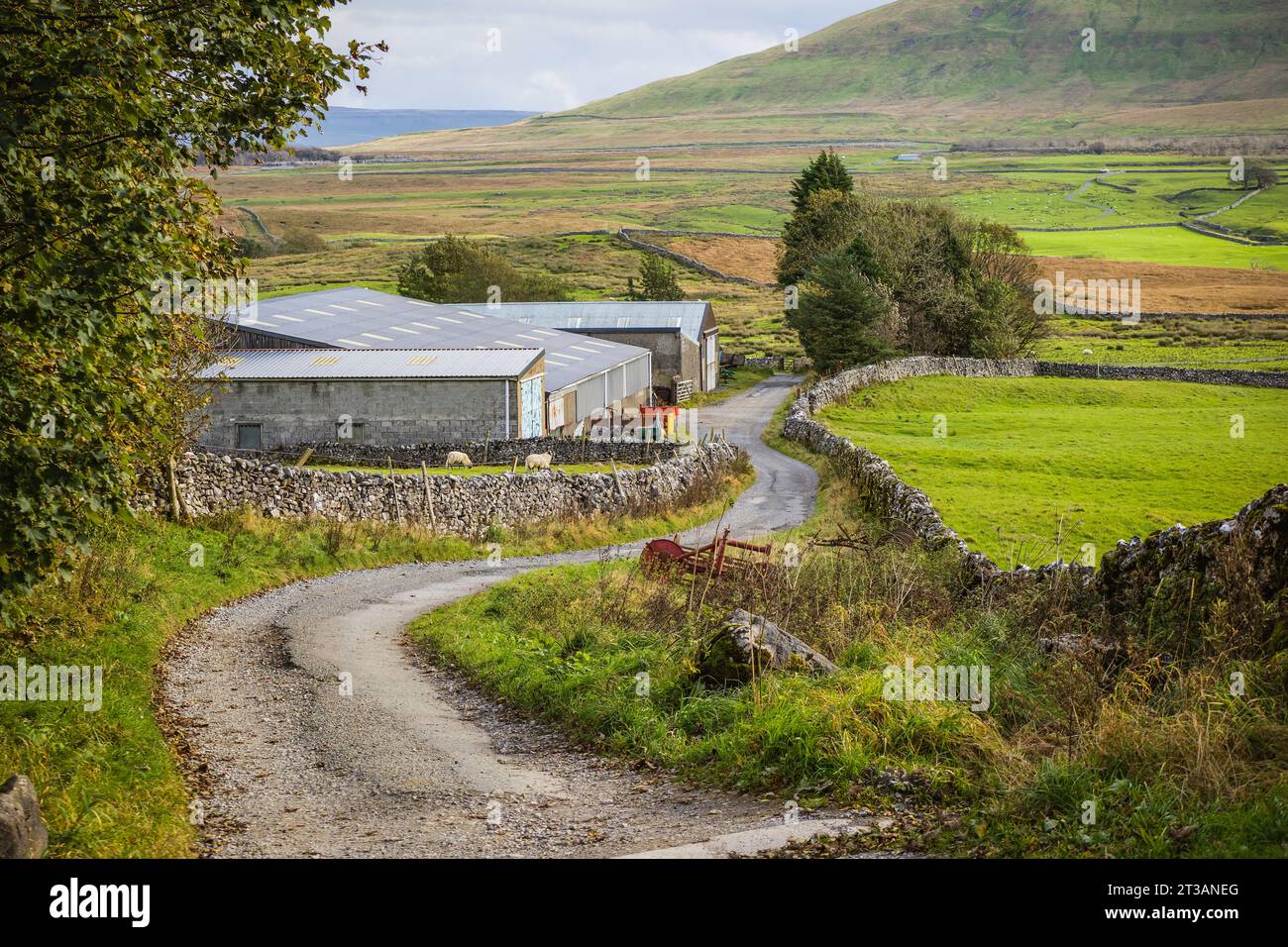 22.10.23 Ribblehead, North Yorkshire, UK.Farm near to Ribblehead in the ...