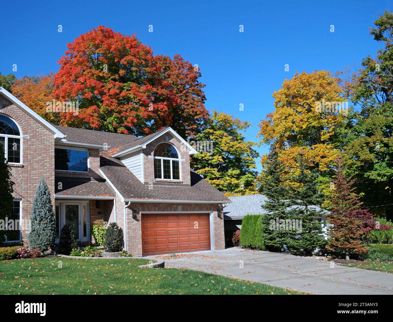 Brilliant fall foliage in suburban residential district Stock Photo - Alamy