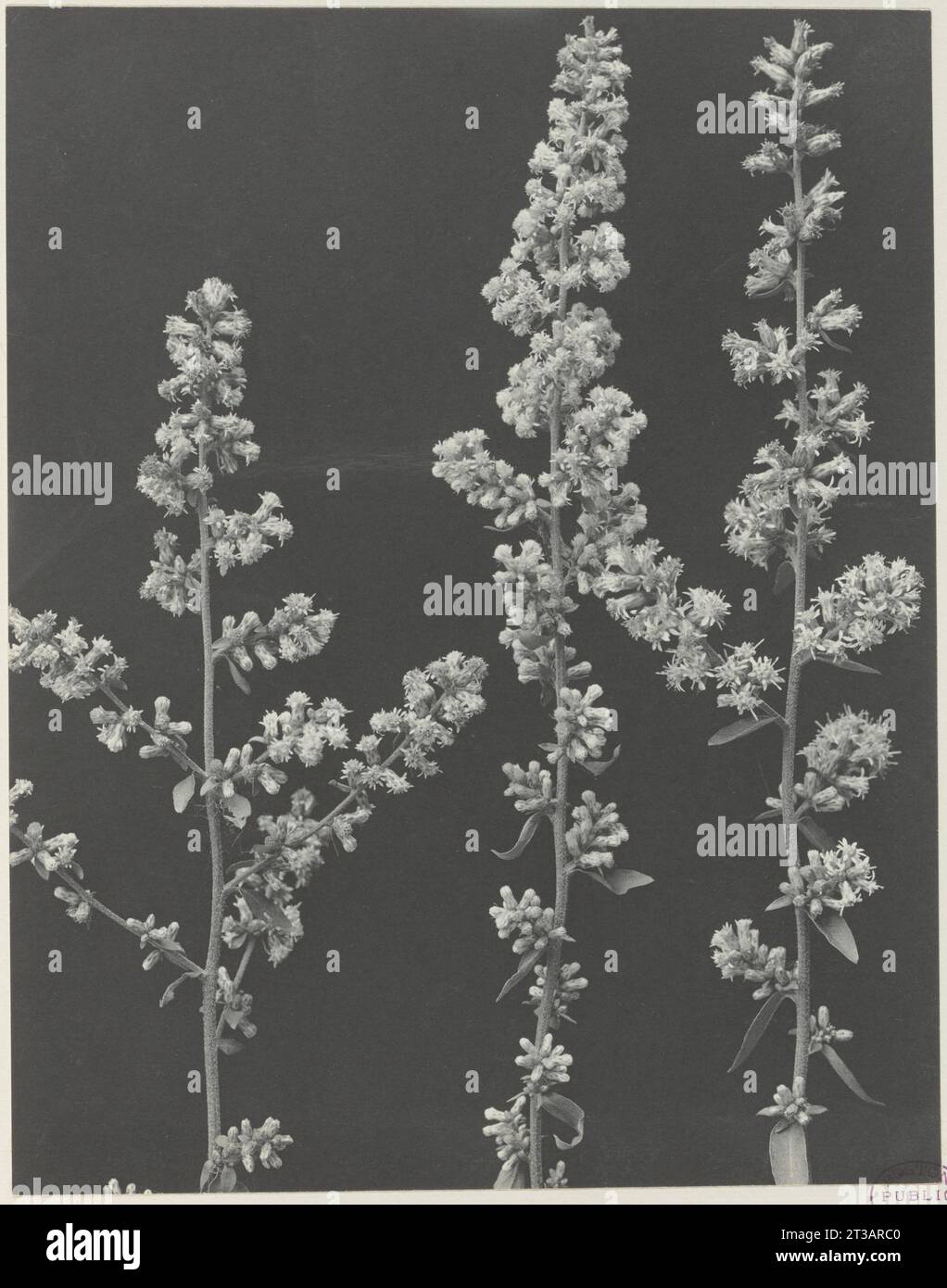 Silver rod hi-res stock photography and images - Alamy