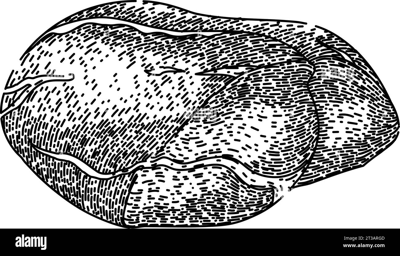 Butcher Meat Sketch Hand Drawn Vector Stock Vector Image And Art Alamy 