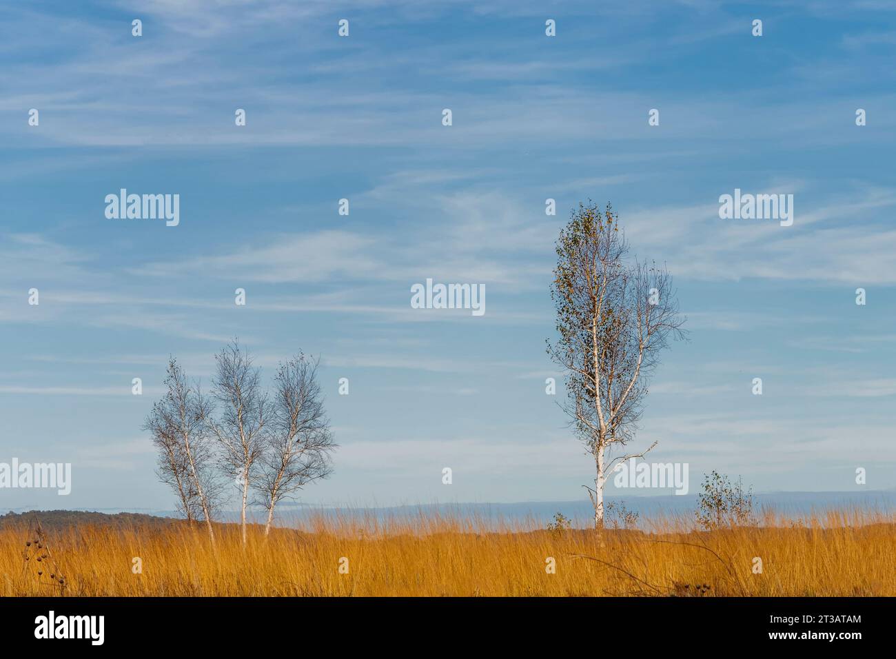 Zeljava Air Base in Zeljava, Croatia Stock Photo - Alamy