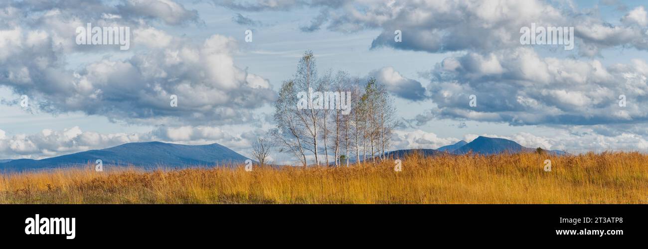 Zeljava Air Base in Zeljava, Croatia Stock Photo - Alamy