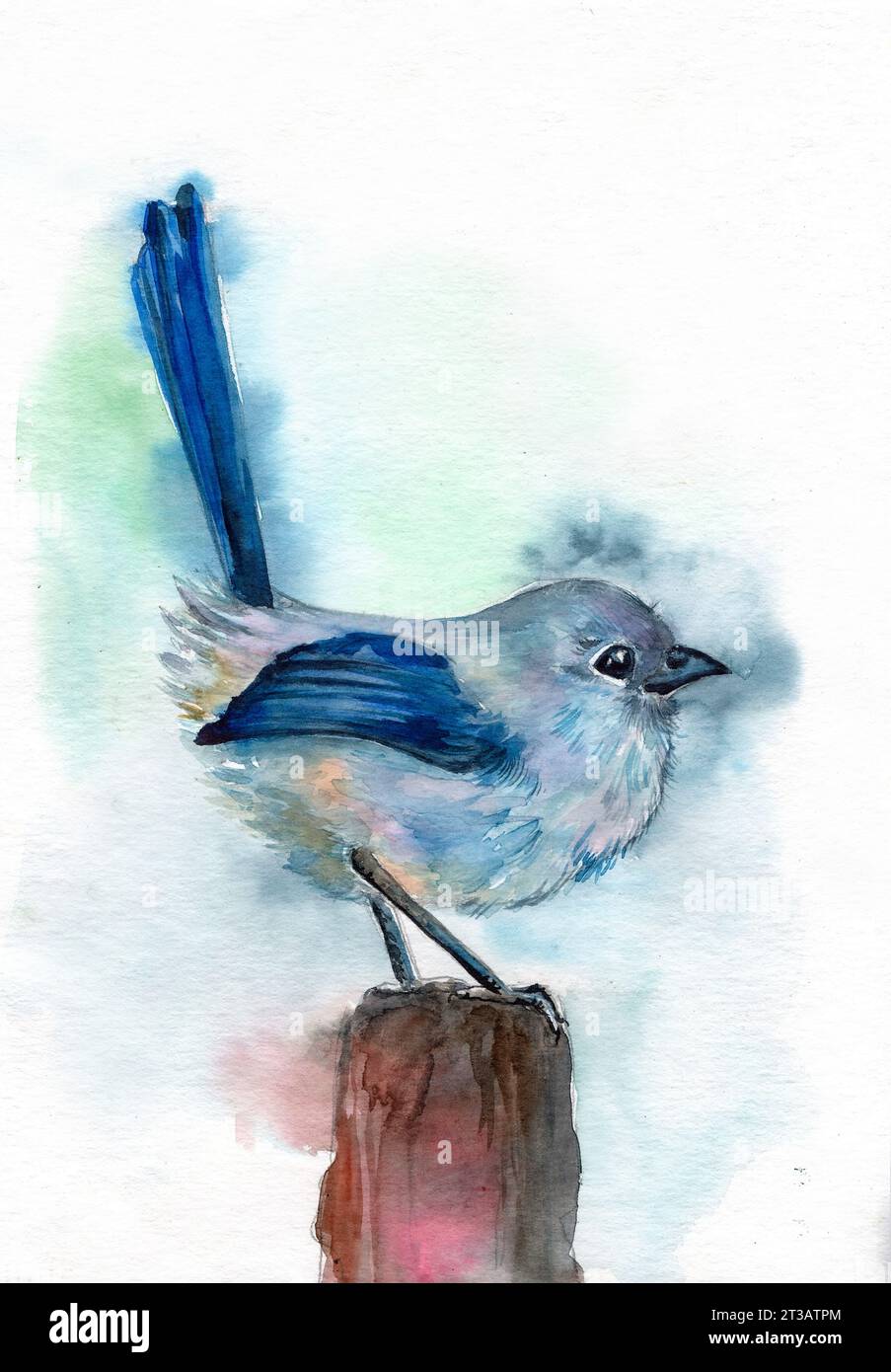 Watercolor illustration of a bird. Birdie. Blue little bird Stock Photo ...