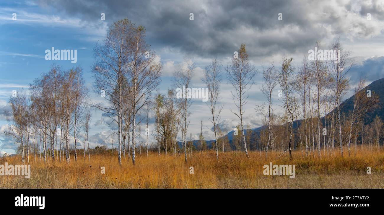 Zeljava Air Base in Zeljava, Croatia Stock Photo - Alamy