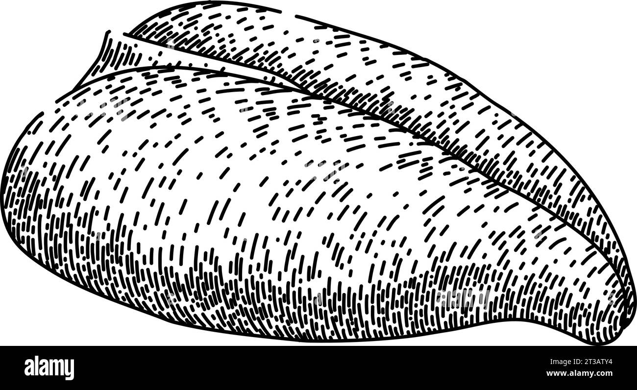 food meat sketch hand drawn vector Stock Vector Image & Art - Alamy