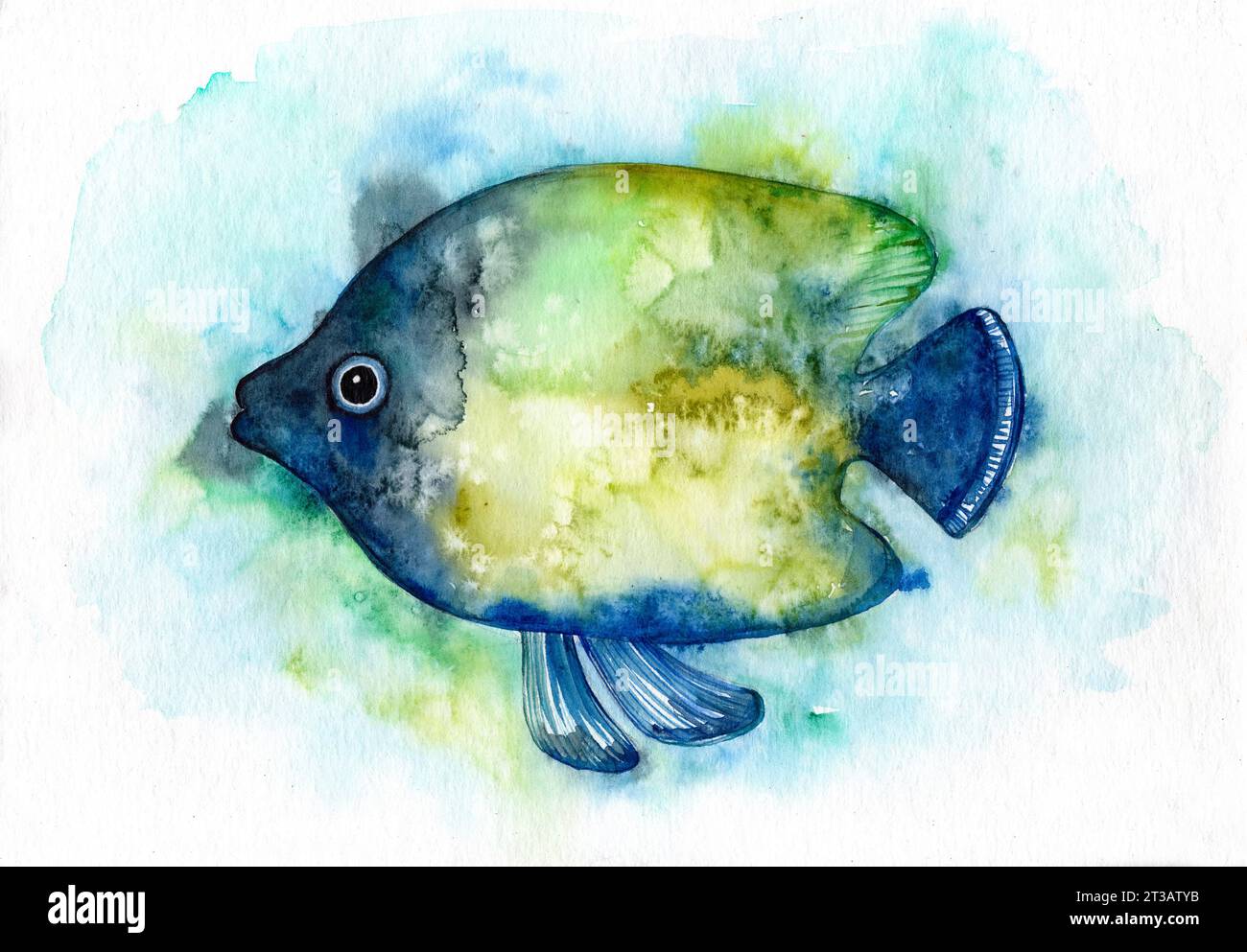 Watercolor fish illustration hi-res stock photography and images - Alamy