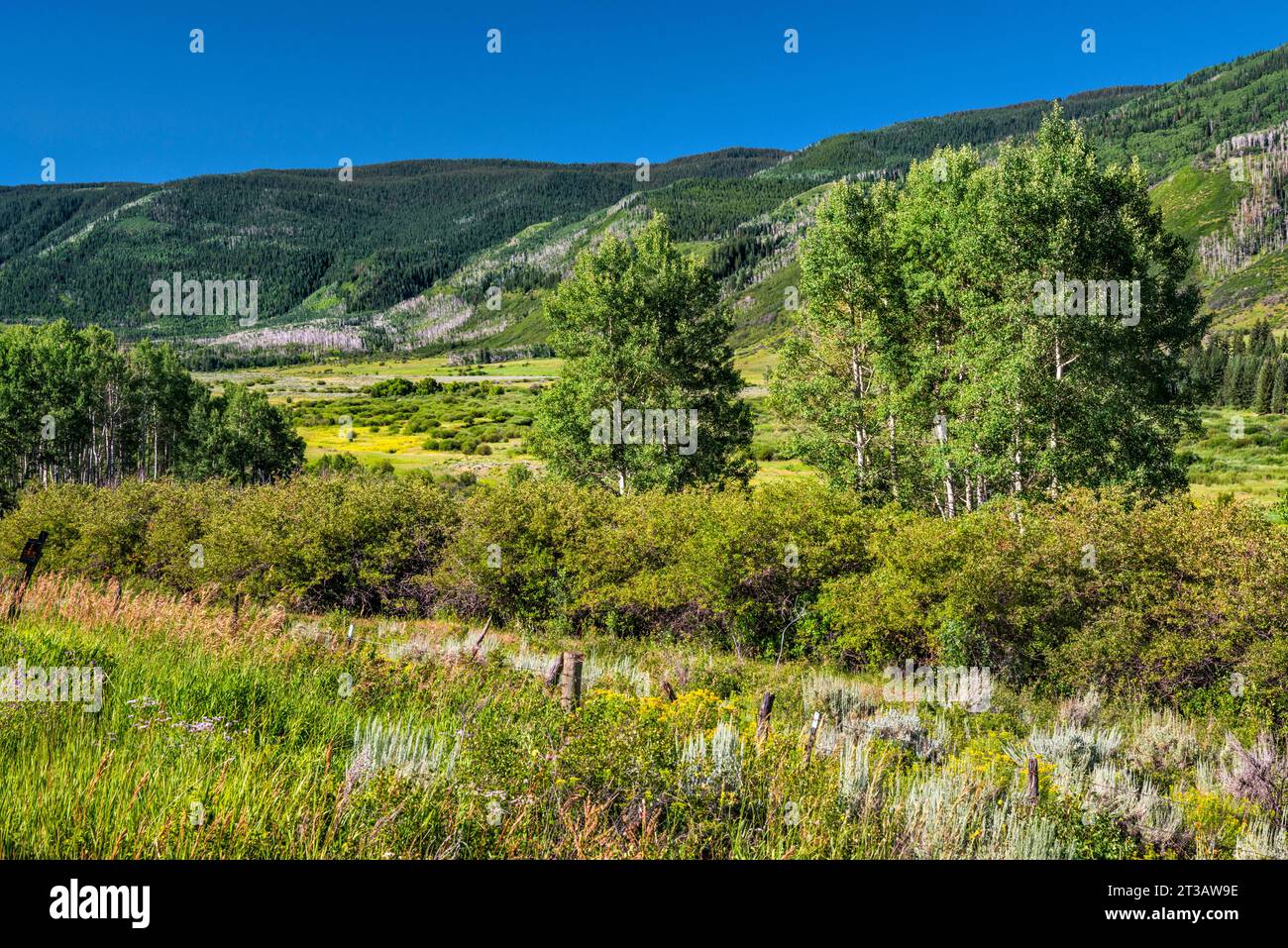 White River Plateau