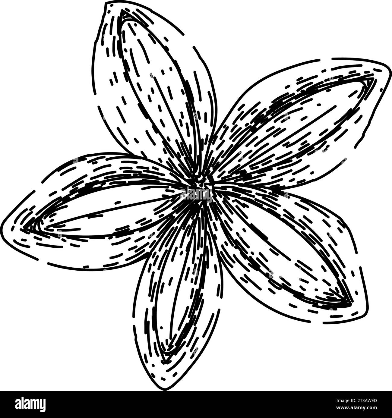 Sacha inchi plant Cut Out Stock Images & Pictures - Alamy