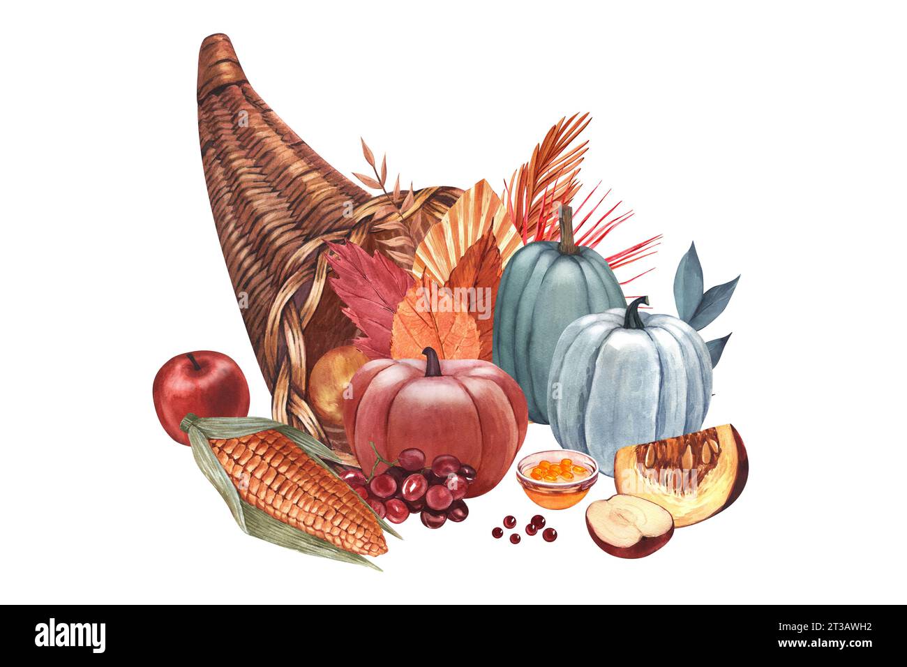 Watercolor cornucopia (horn of plenty) with pumpkin and vegetable. Hand ...