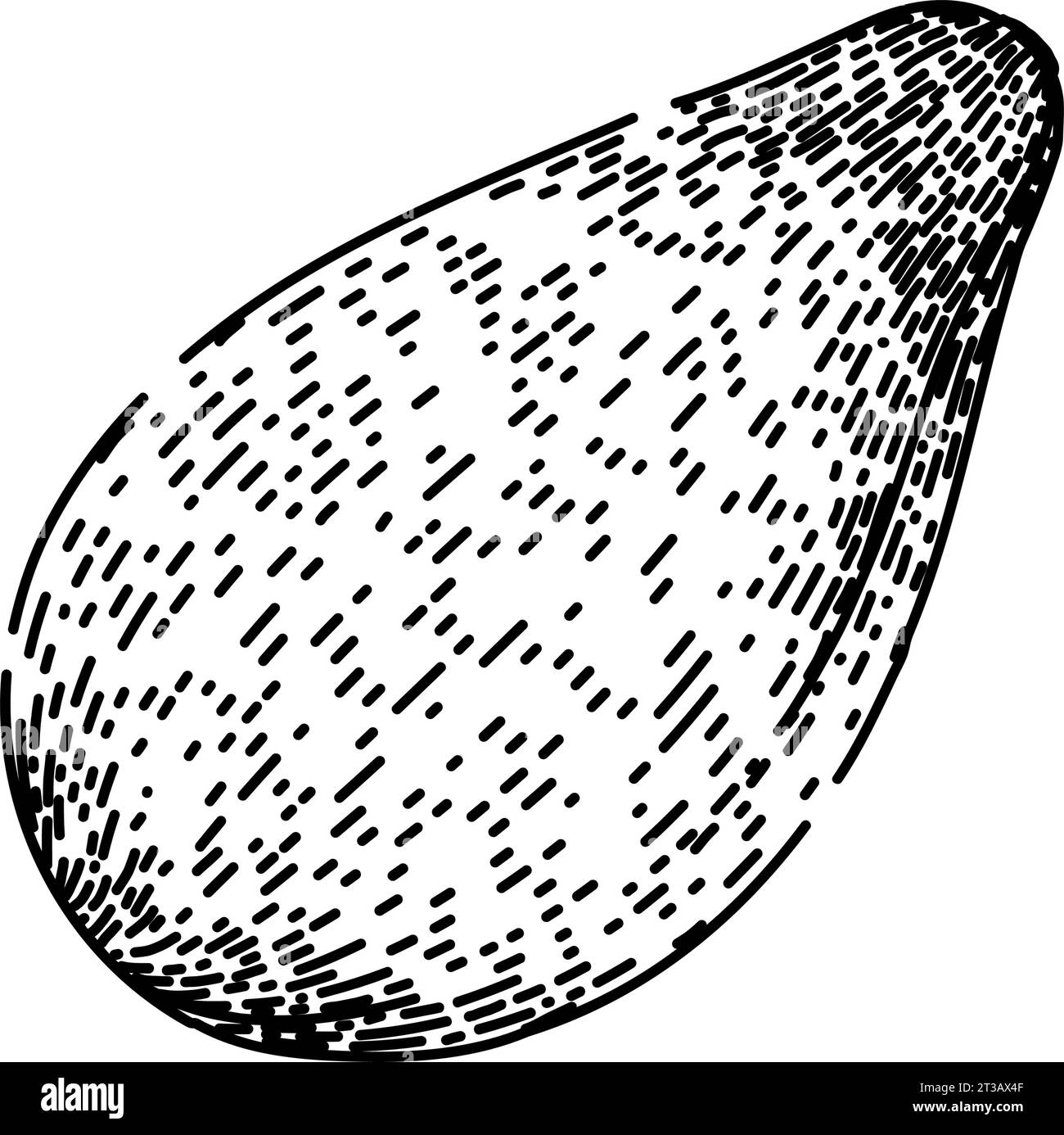 natural sesame seed sketch hand drawn vector Stock Vector Image & Art ...