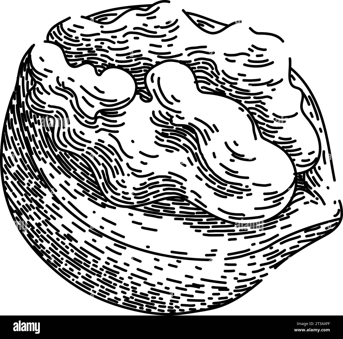 food walnut sketch hand drawn vector Stock Vector Image & Art - Alamy