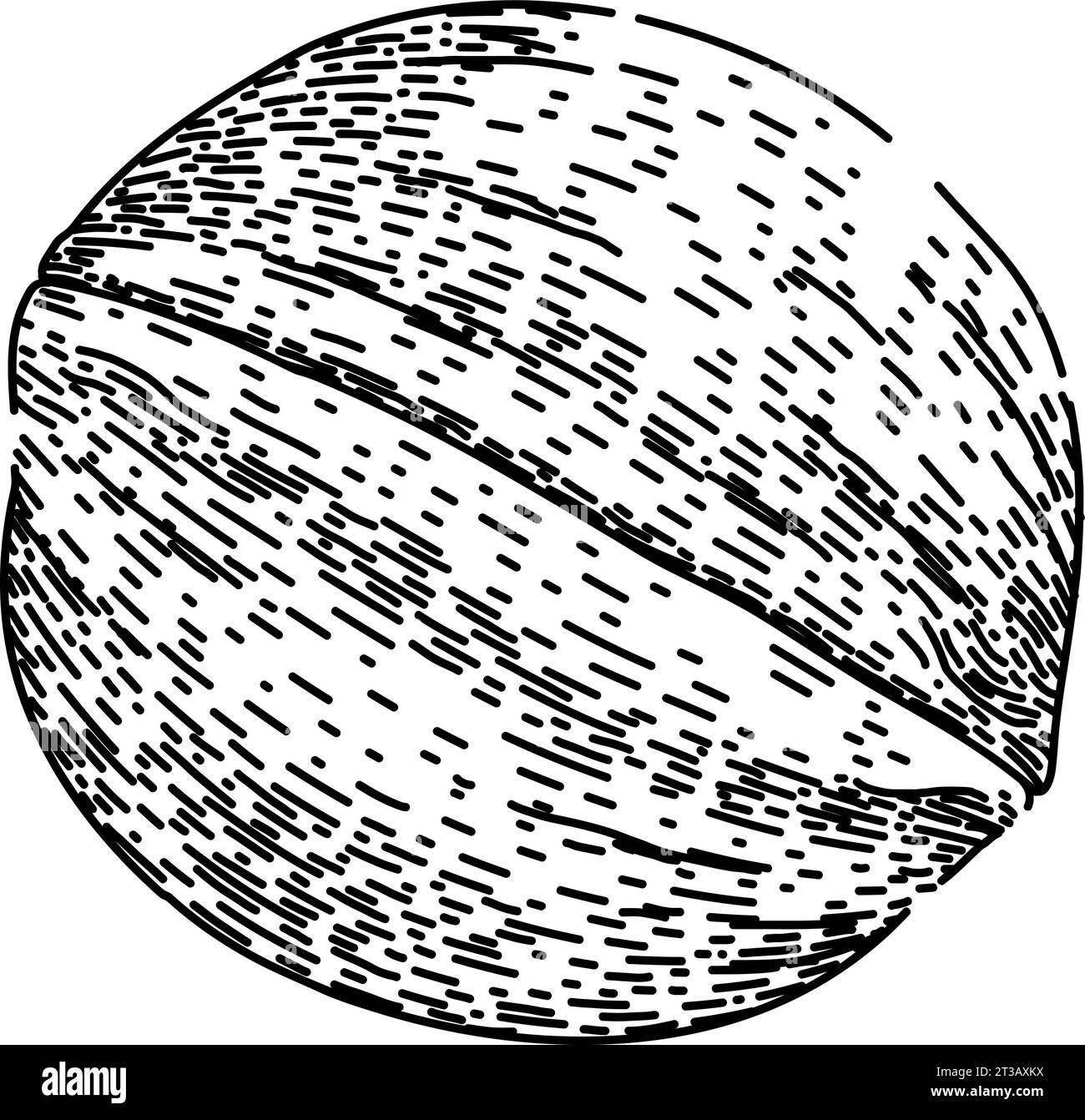 raw walnut sketch hand drawn vector Stock Vector Image & Art - Alamy