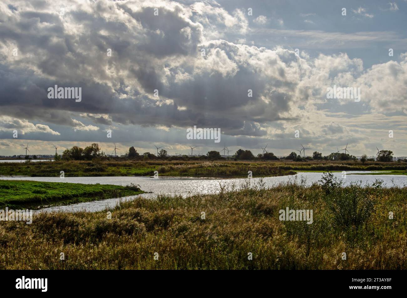 Beninger slikken hi-res stock photography and images - Alamy