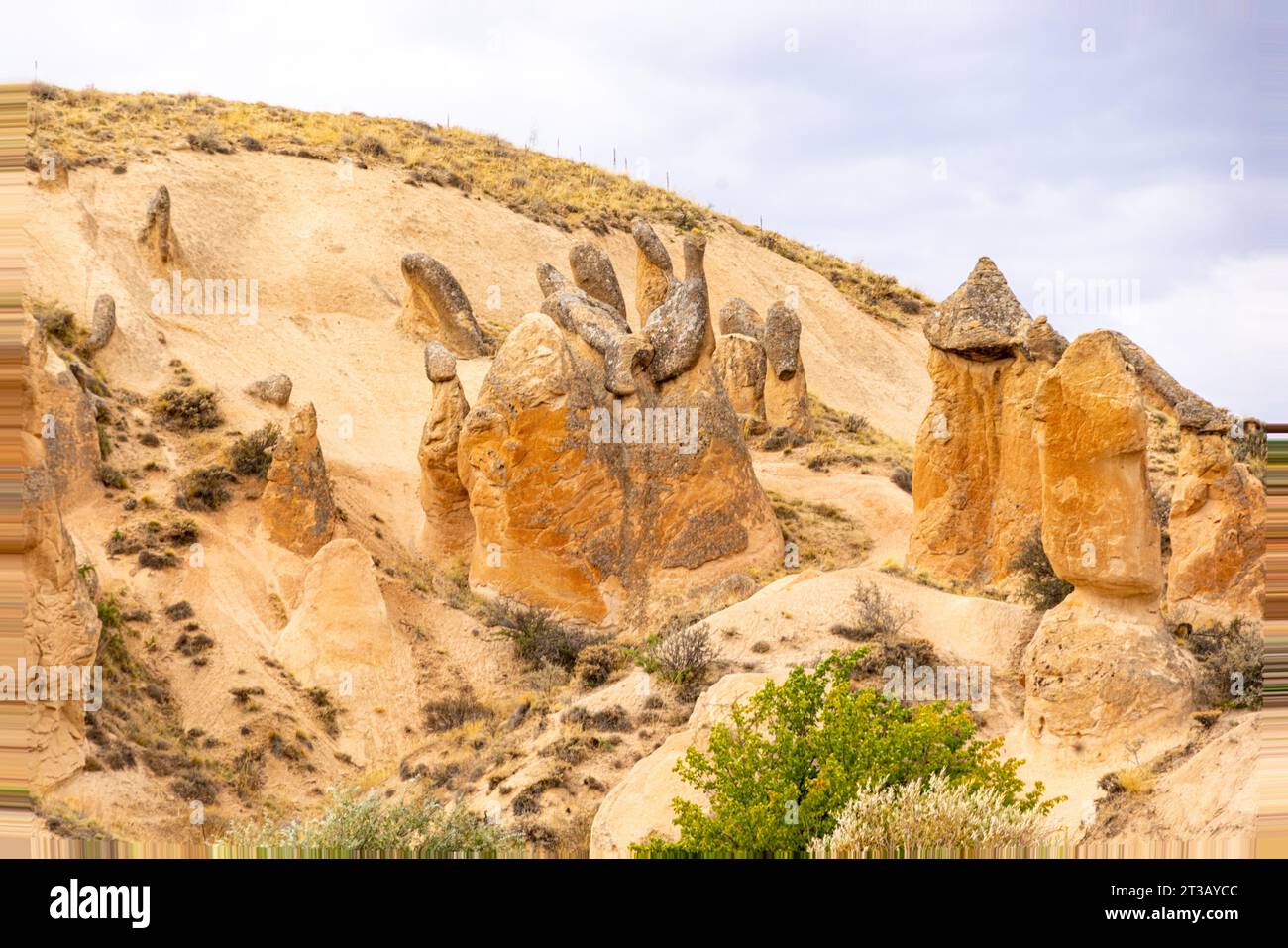 Rock Formation in the Devrent Valley in Cappadocia, Camel Valley ...