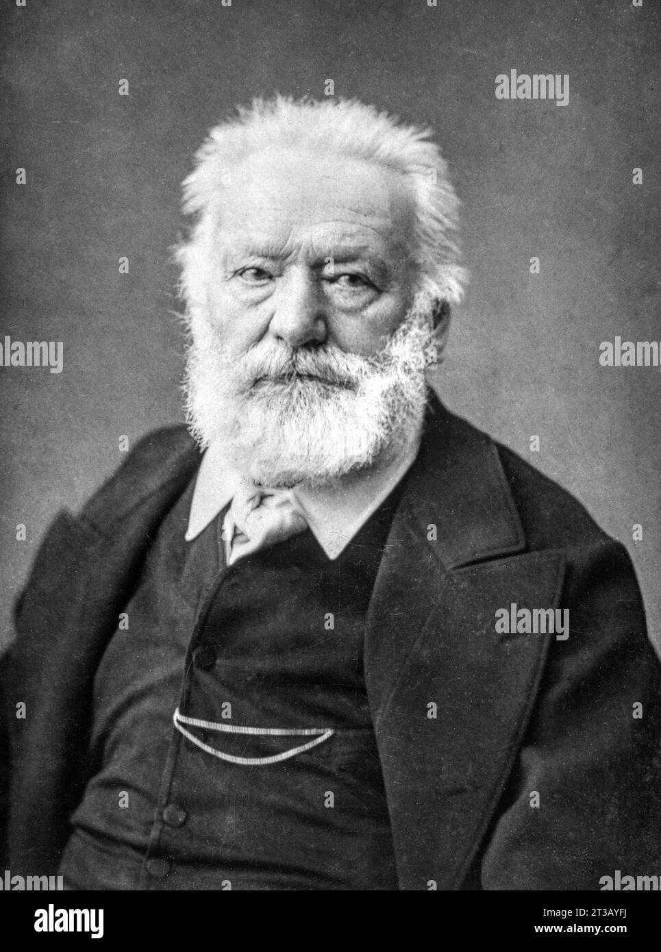 Photography , Portrait of the famous french writer Victor Hugo Stock ...