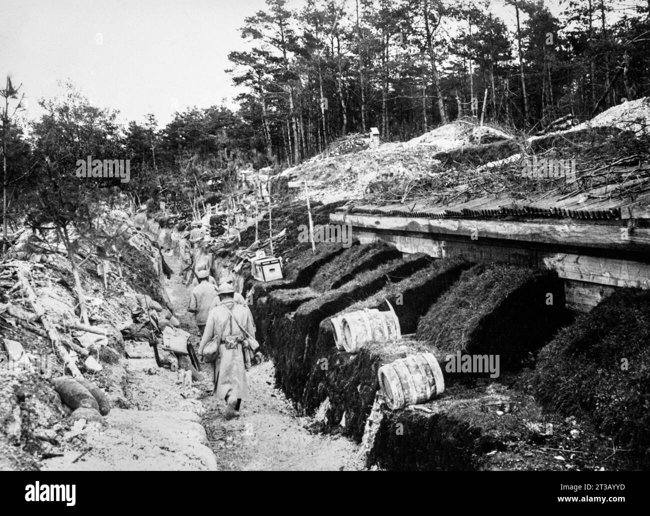 Photography , German shelters and sheds in the Brico woods taken over ...