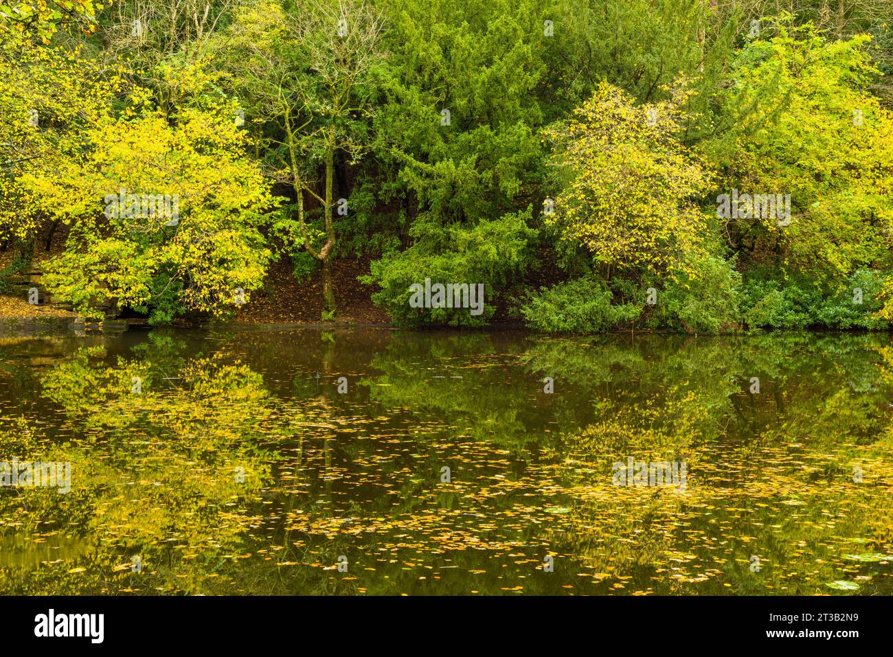 World of colour hi-res stock photography and images - Alamy