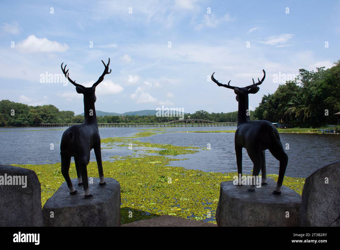 Resak Tembaga Wooden Bridge and Ecotourism attraction in Nong Yai Royal ...