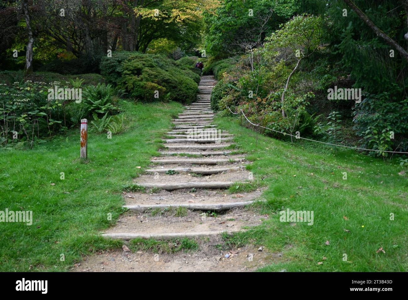 A picture of a scenic pathway on a sunny day Stock Photo - Alamy