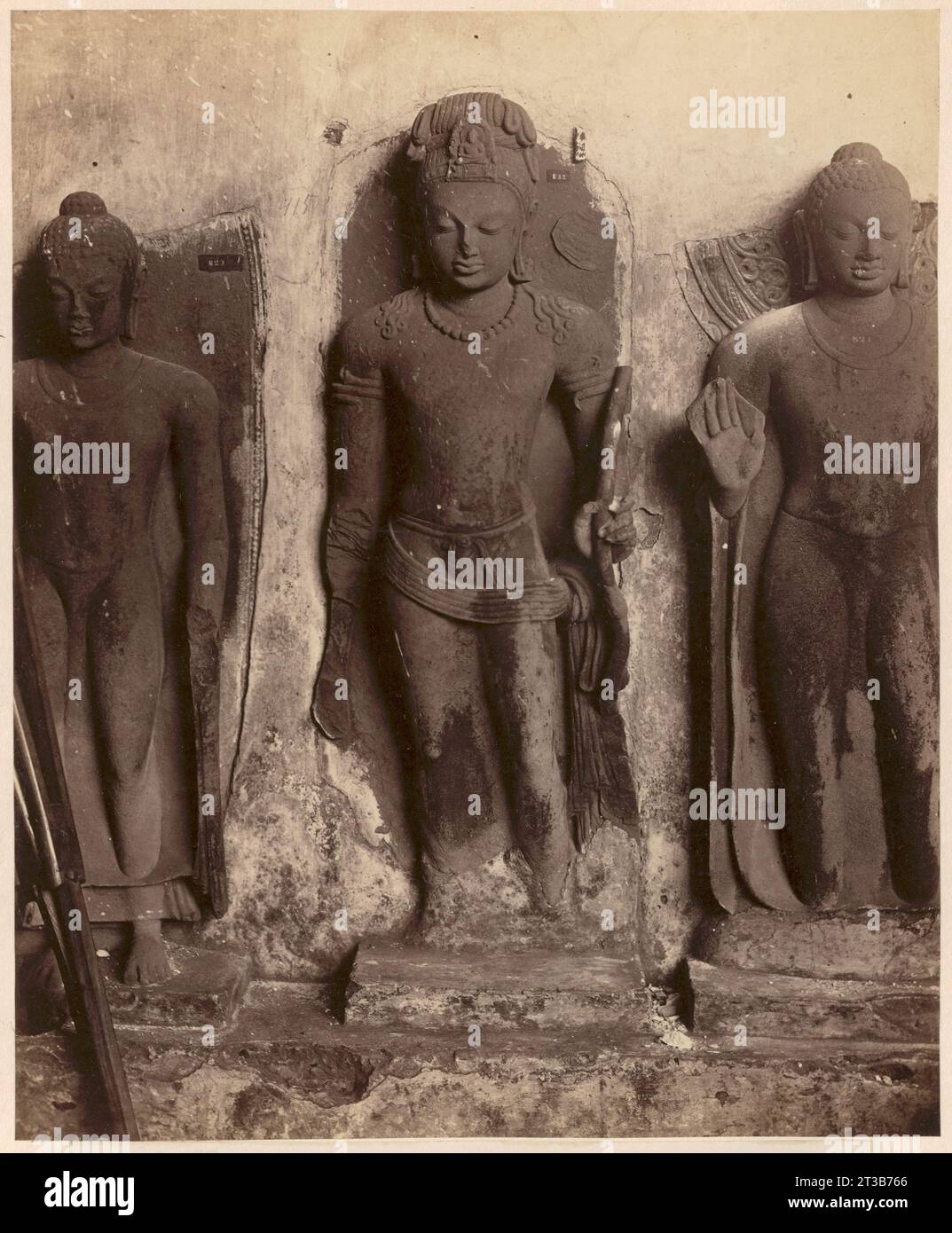 Padma pani hi-res stock photography and images - Alamy