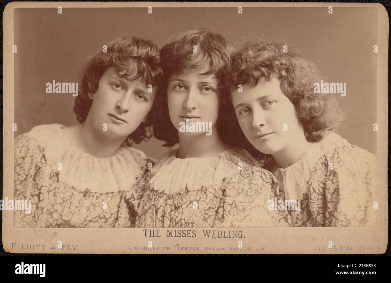 Webling hi-res stock photography and images - Alamy