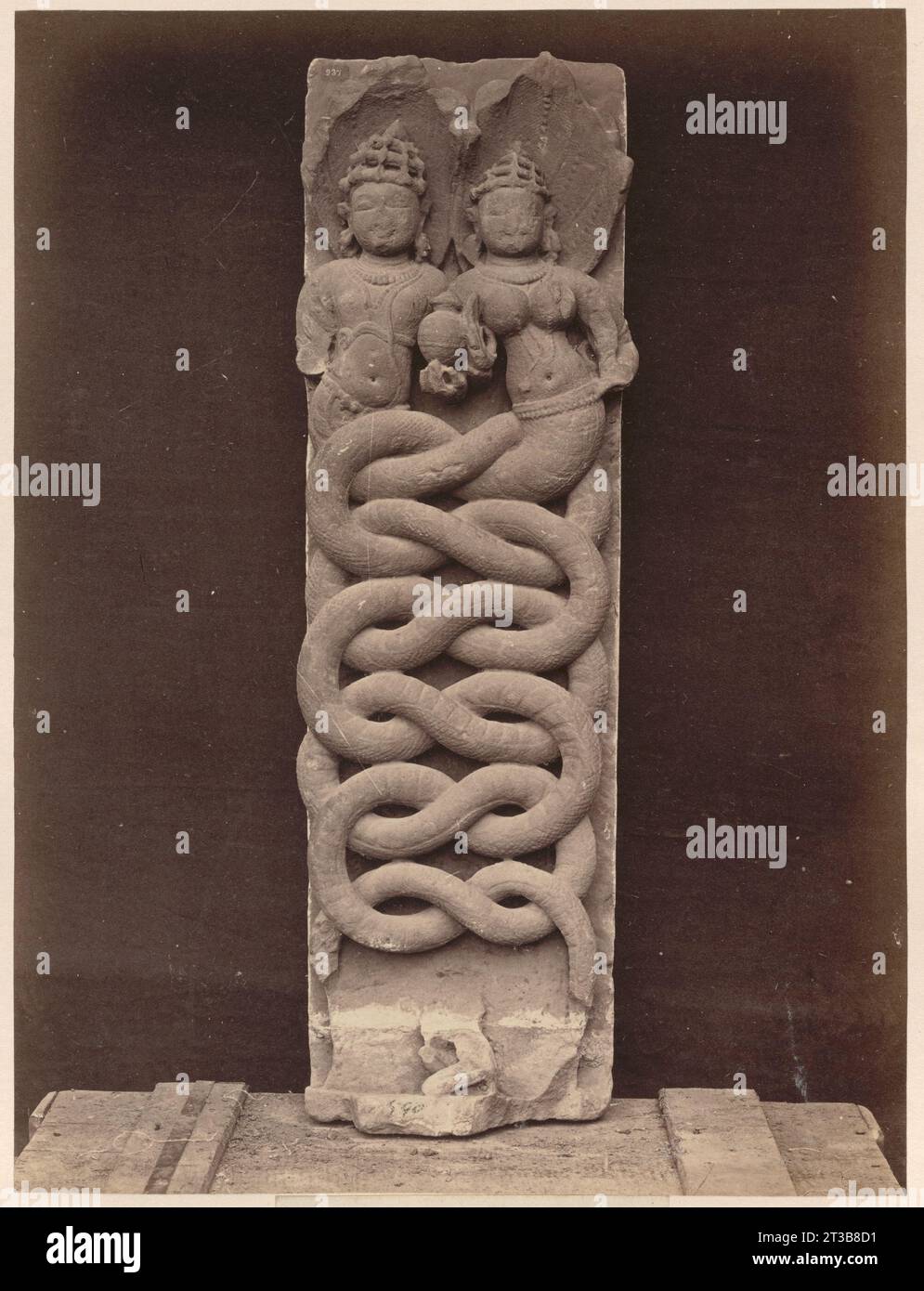 Naga and Naga Kanya (snake god and goddess), from the Gond Country on the Nerbudda Stock Photo ...