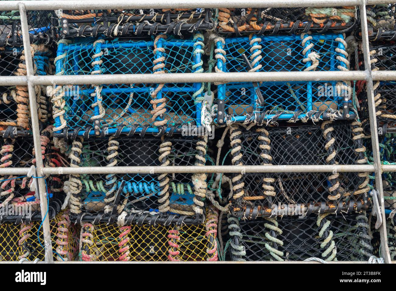 Lobster Boxes In Brittany Stock Photo - Alamy