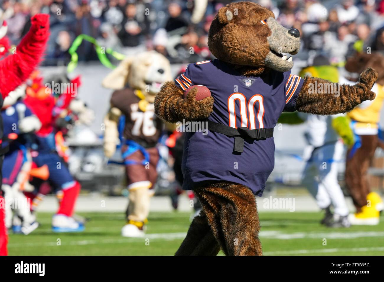 Staley bear hi-res stock photography and images - Alamy