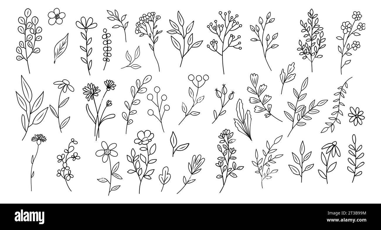 Set of tiny wild flowers and plant line art vector Stock Vector Image ...