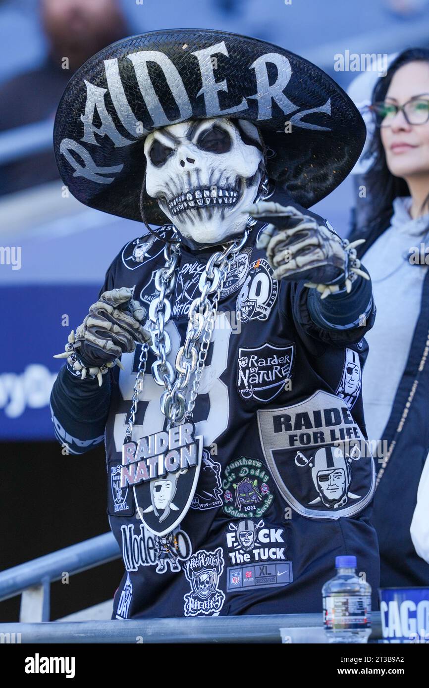 Las Vegas Raiders fan in costume supports the team during the NFL ...