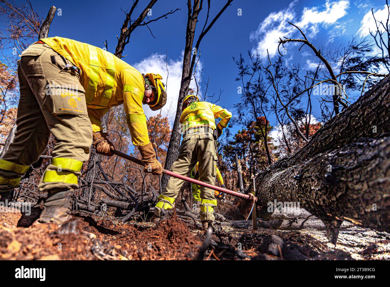 BRIFOR (Reinforcement Brigades in Forest Fires), palliating the aftermath of the summer of 2023 ...