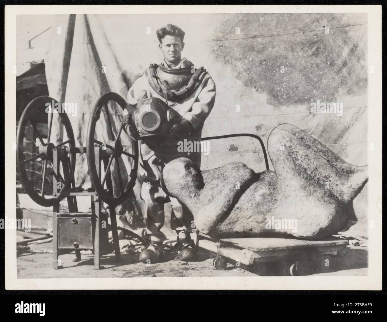 Eight feet tall hi-res stock photography and images - Alamy