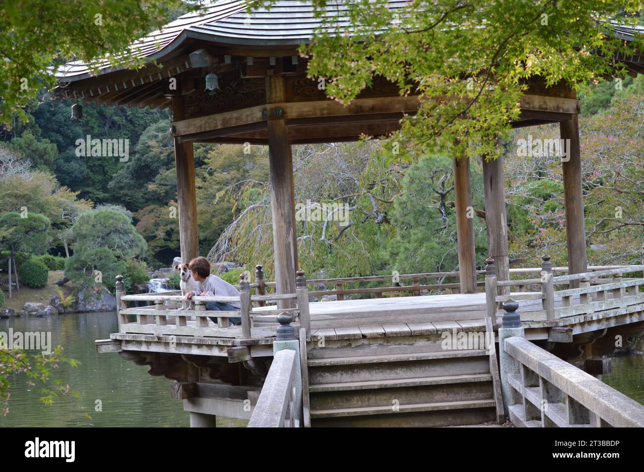 Lakeside serenity unveiled hi-res stock photography and images - Alamy