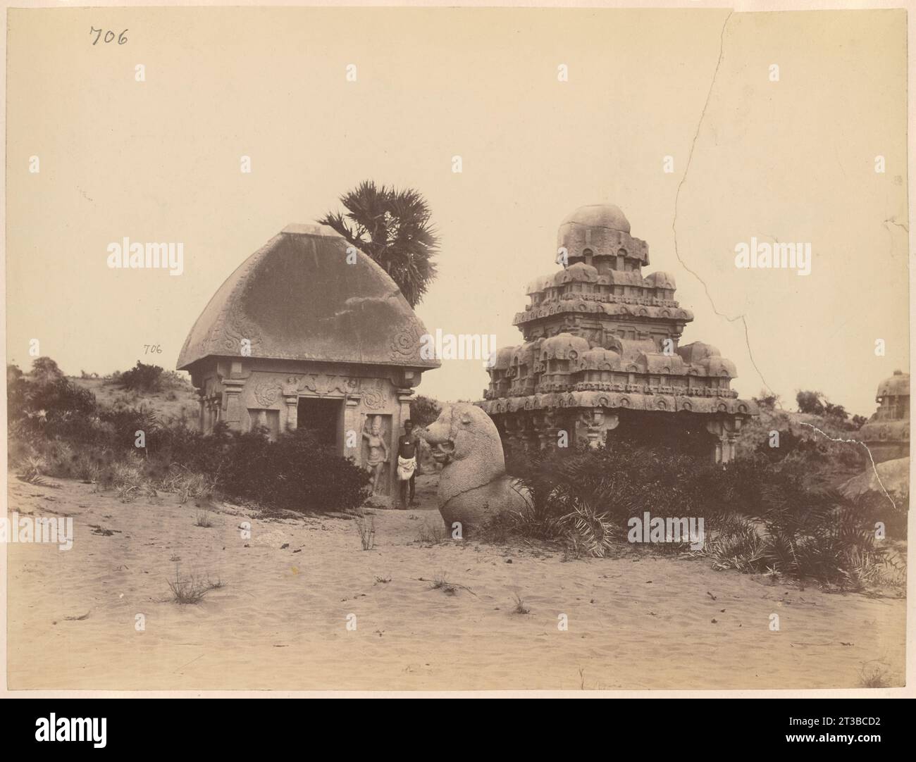 Seven Pagodas. The Draupadi ratha and Arjunas, carved lion in the ...
