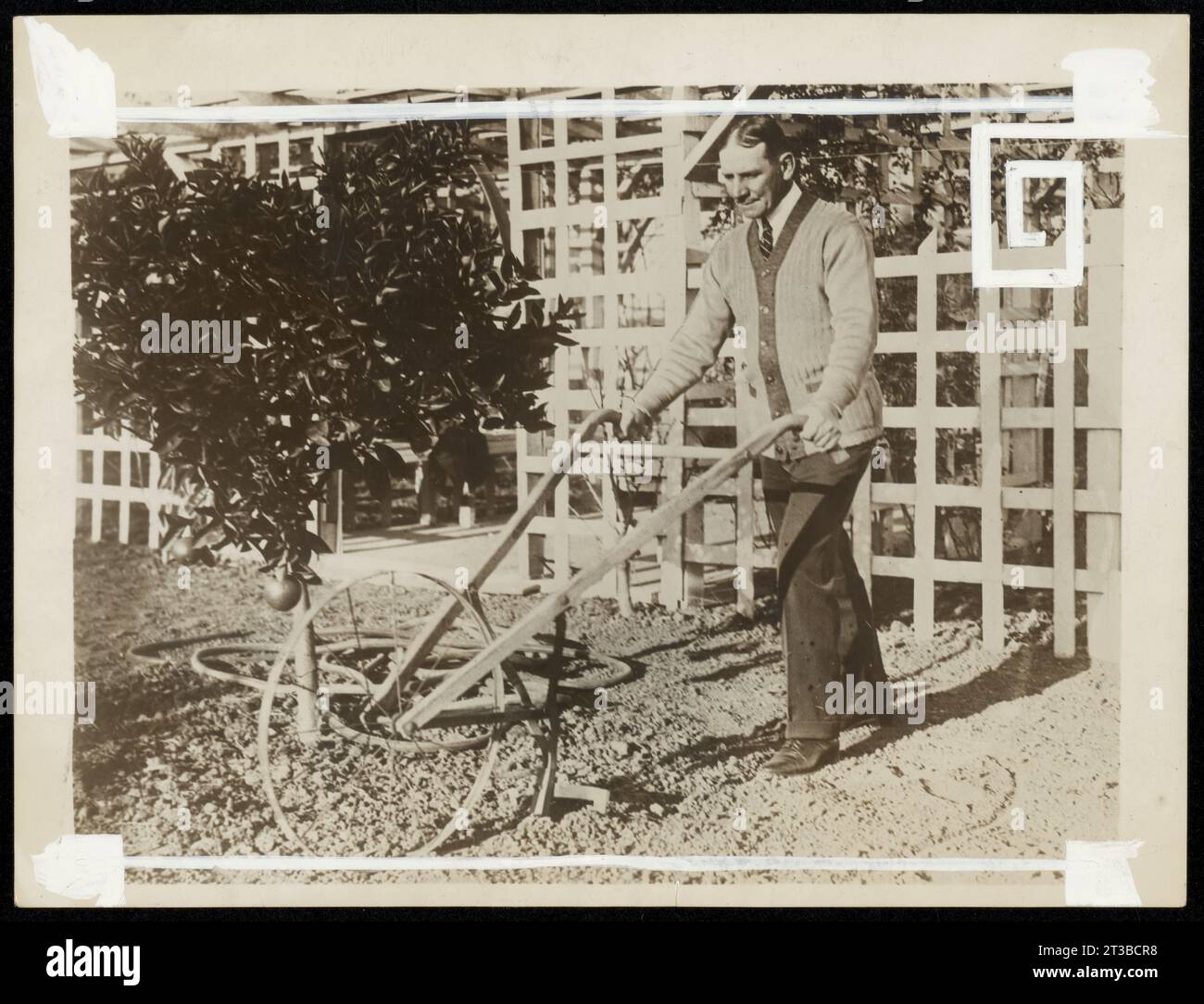 Tommy Ryan, old timer boxer Stock Photo - Alamy